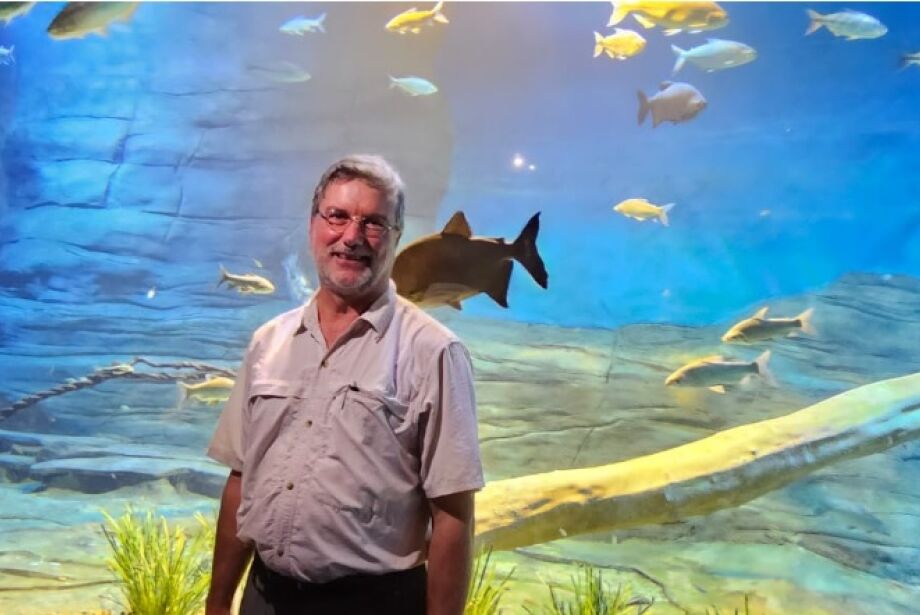 "O Pantanal não é um pasto nem um 'lavoural'", diz catedrático da ...