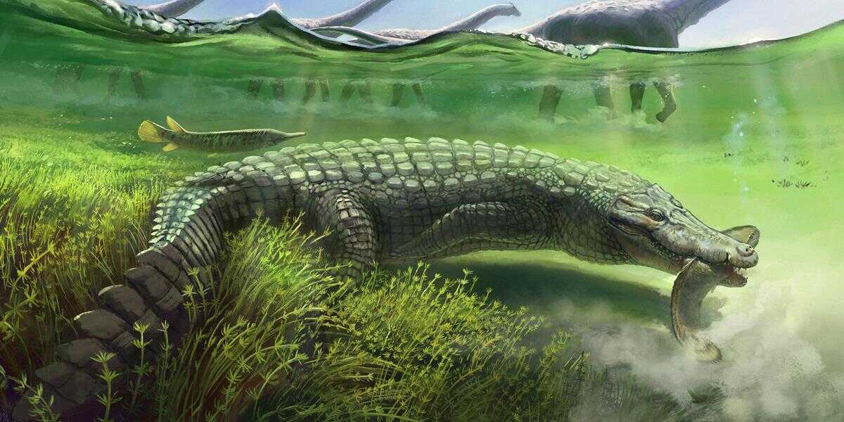 Cientistas acham nova espécie de crocodilo gigante - Correio do Estado