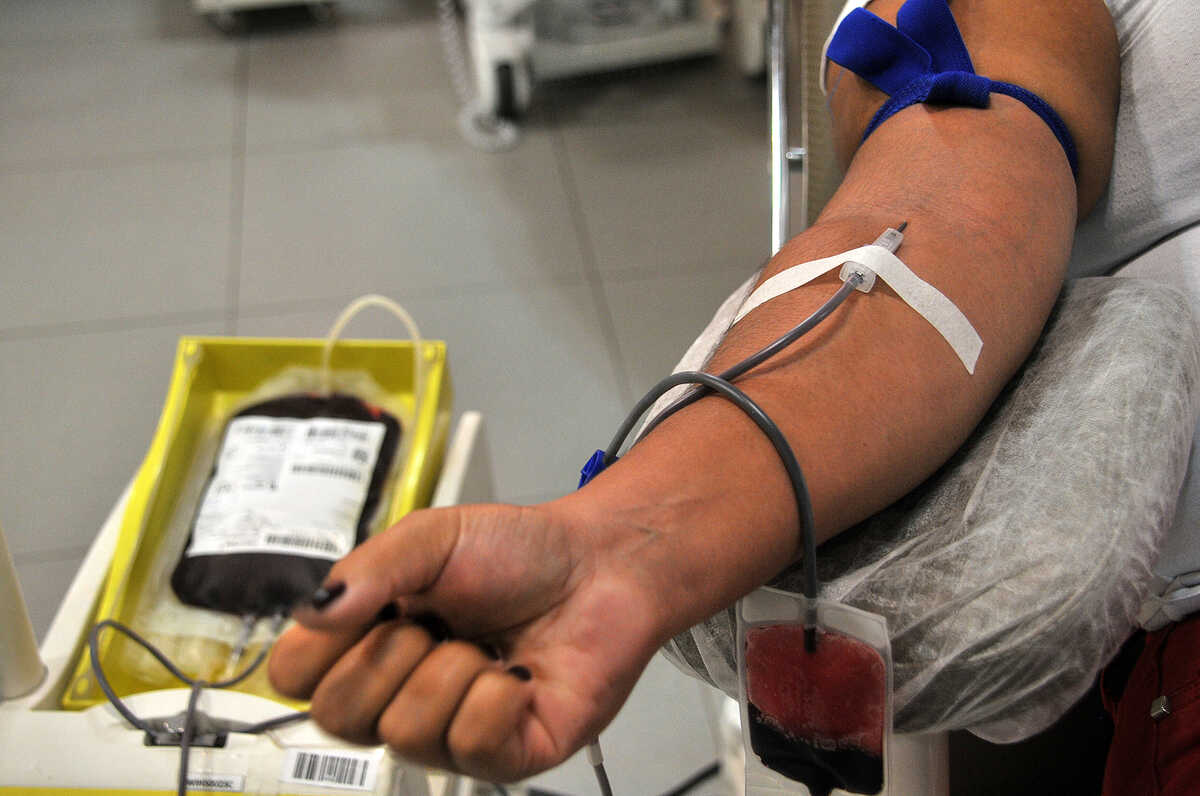 Em MS, 53 mil pessoas doaram 24 mil litros de sangue e socorreram 104 ...