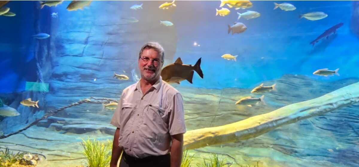 "O Pantanal não é um pasto nem um 'lavoural'", diz catedrático da ...
