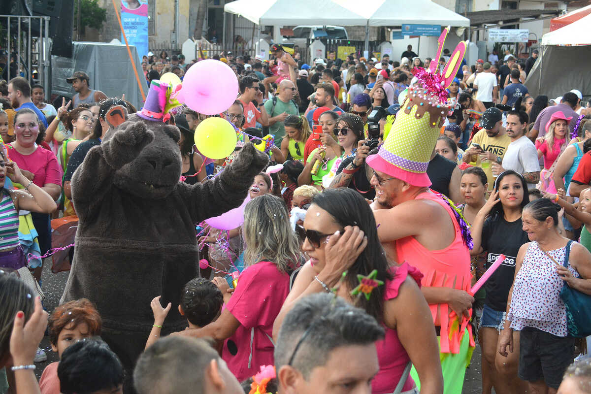 Carnaval de rua reúne mais de 130 mil foliões em três dias - Correio do ...