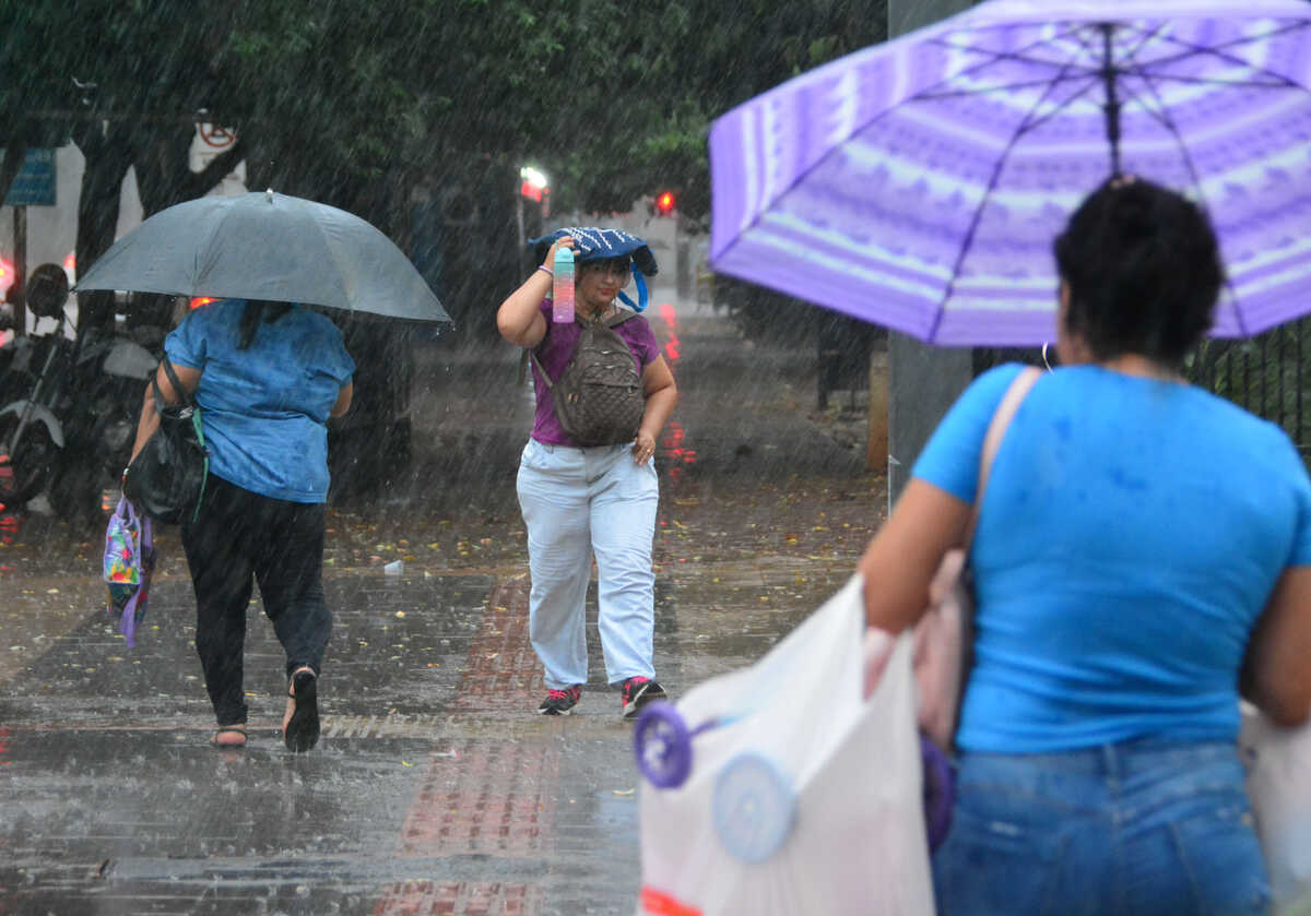 Em quatro dias, choveu o esperado para todo o mês de abril em Campo ...