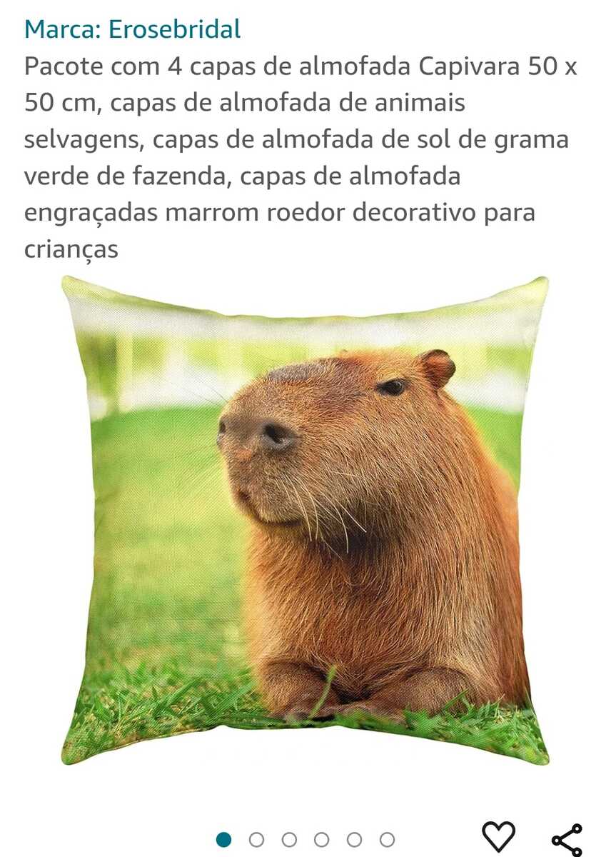 Fotógrafa de MS tira foto de capivara e imagem vai parar em almofada ...