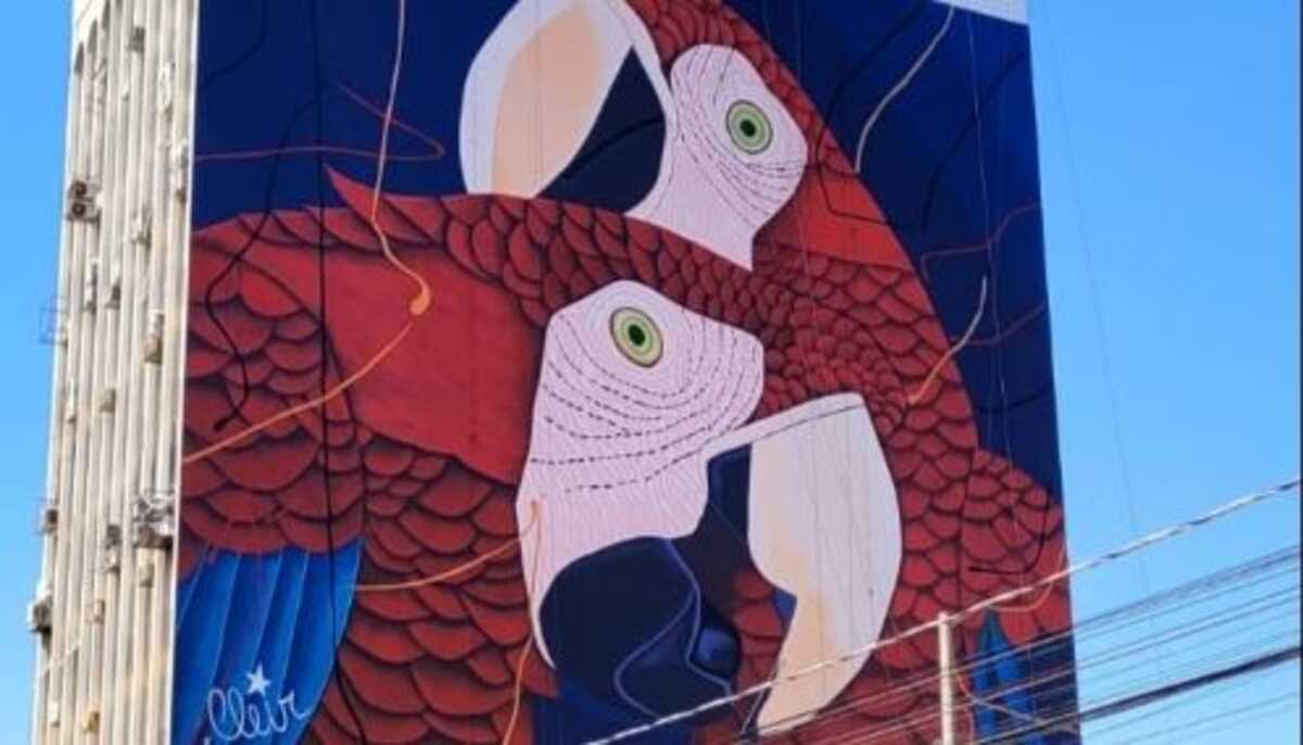 Com ajuda de grafiteira, Cleir revitaliza painéis da Arara Vermelha e ...