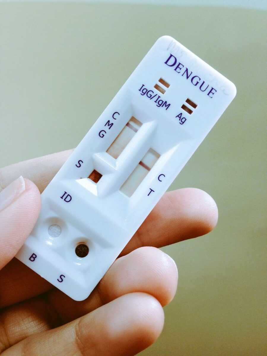 MS terá teste rápido inédito para diagnóstico de dengue na rede pública ...