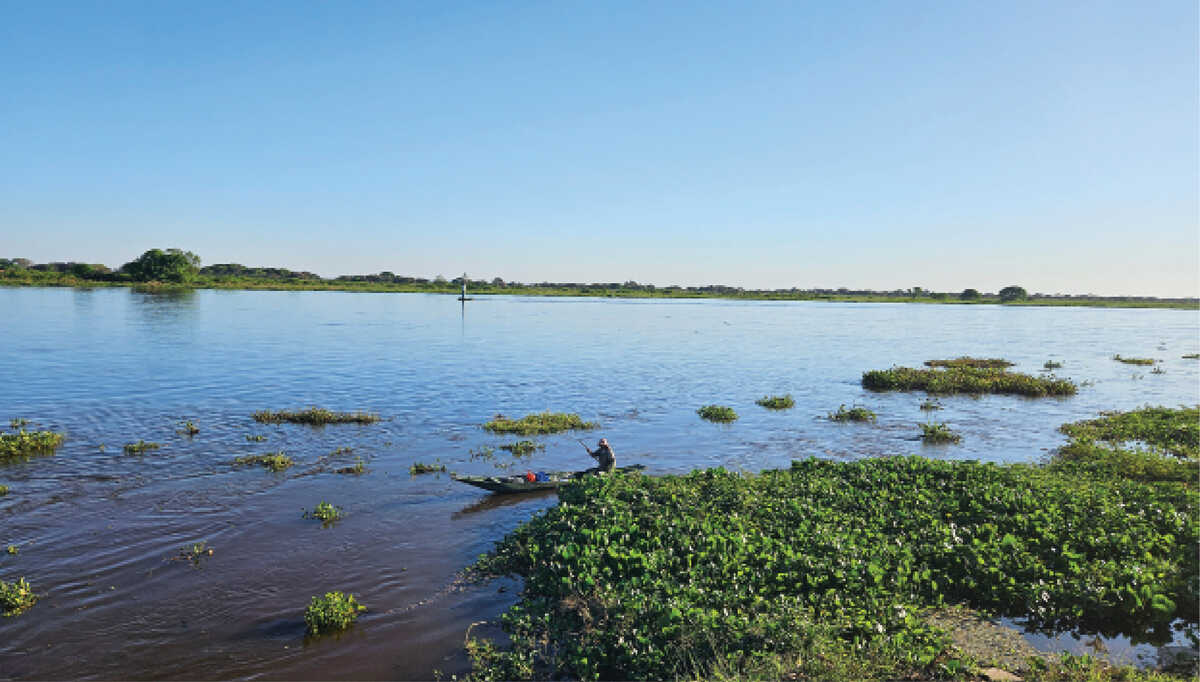 Pantanal tem o menor número de focos de calor e área queimada em quase 30 anos - Correio do Estado