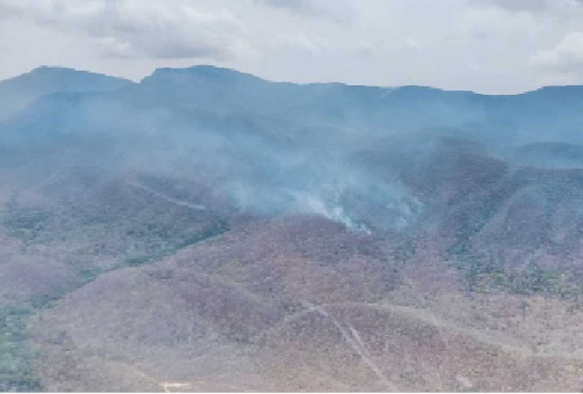 Focos de incêndios no Pantanal e em MS aumentam em setembro - Correio ...