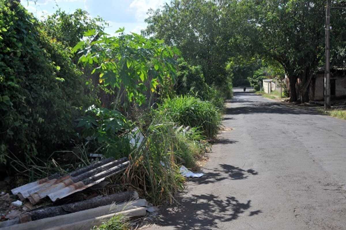 Cidade está abandonada e matagal toma conta de áreas públicas - Correio ...