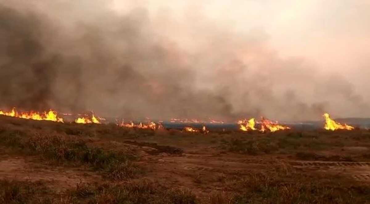 Governo proíbe queimadas controladas no Pantanal por quatro meses ...